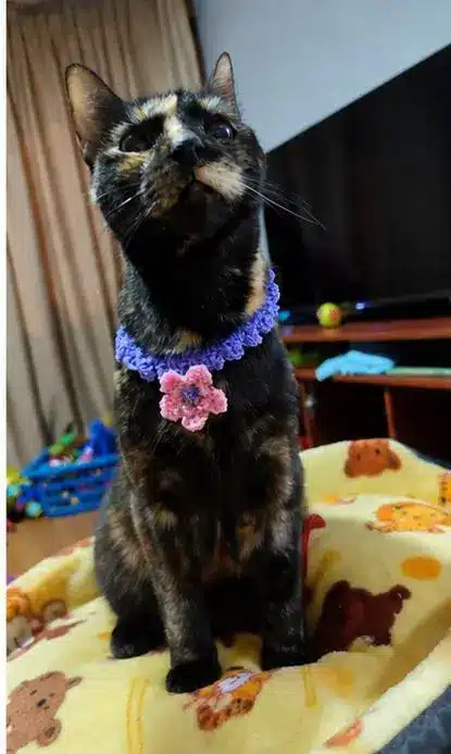 Our sweet Scarlett